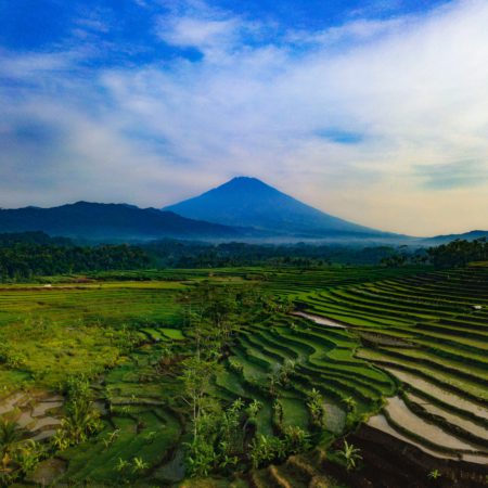 Finding Banksy: A Guide to Locating Banksy's Street Art - WanderLuxe