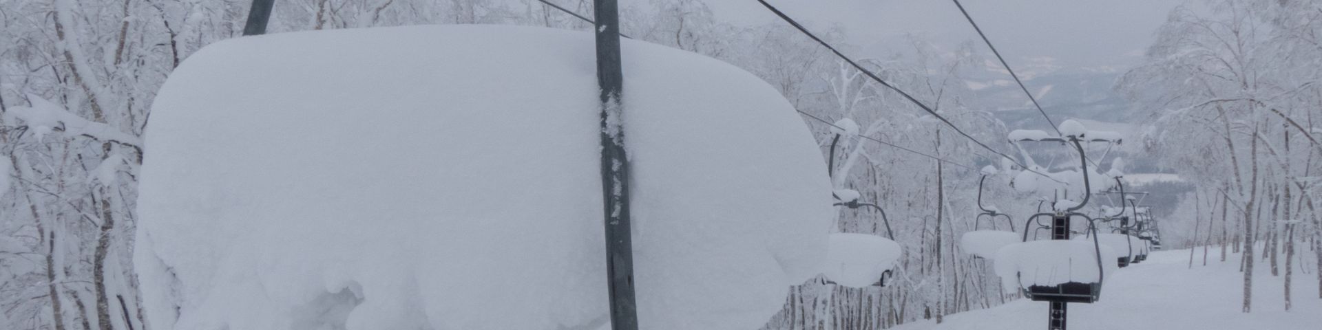 Summer Loving in Rusutsu: Your Ultimate 2024 Guide - WanderLuxe