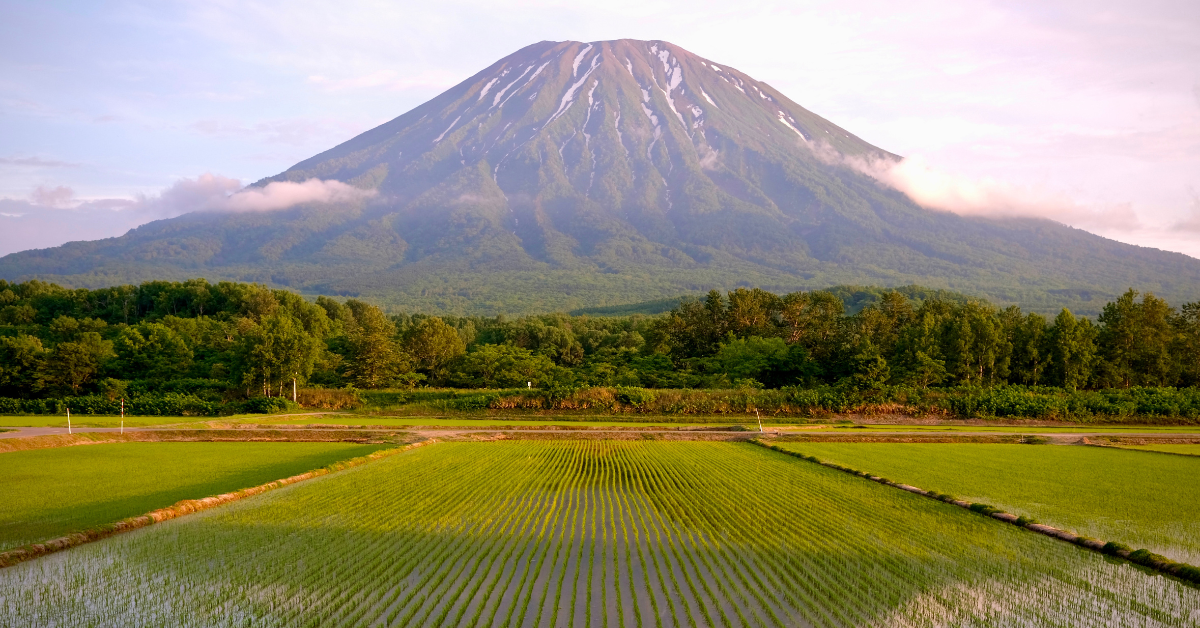 Best Mount Yotei Viewpoints & Photo Spots in Niseko, Hokkaido | Wanderluxe